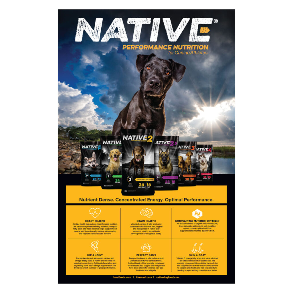 Native Poster | KNG Central