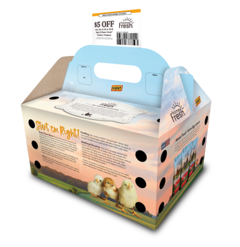 Home Fresh Live Baby Chick Boxes | KNG Central